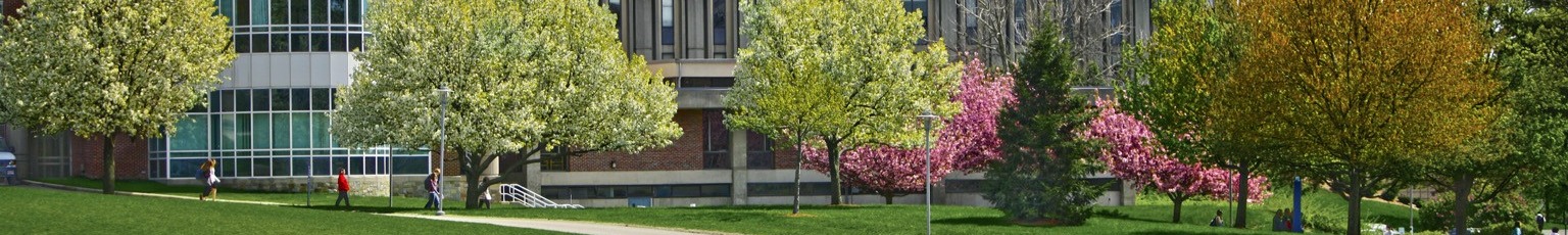 Riipen | Brandeis University